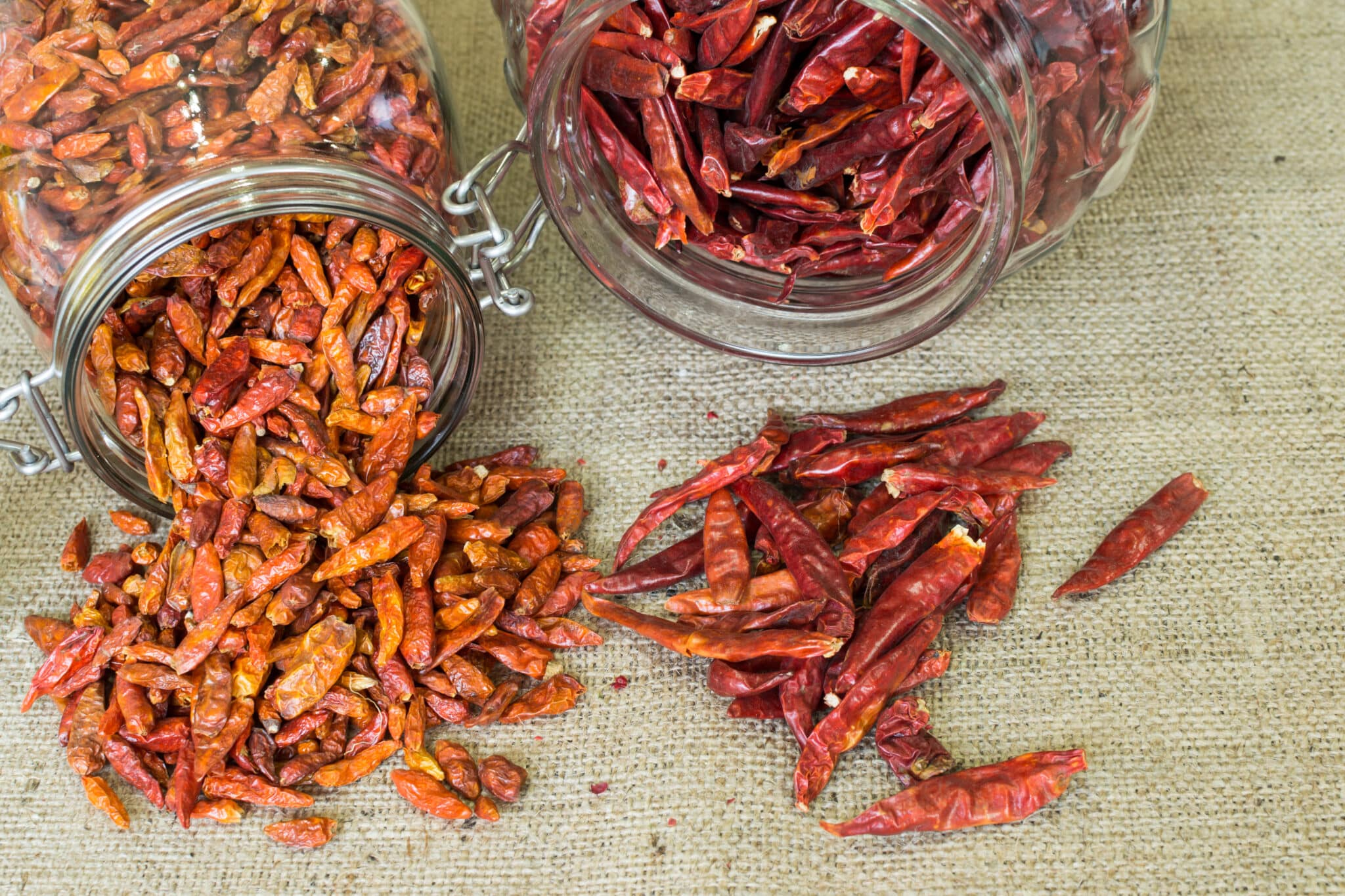 ¿Cuánto tiempo duran los chiles secos? - Escala Scoville