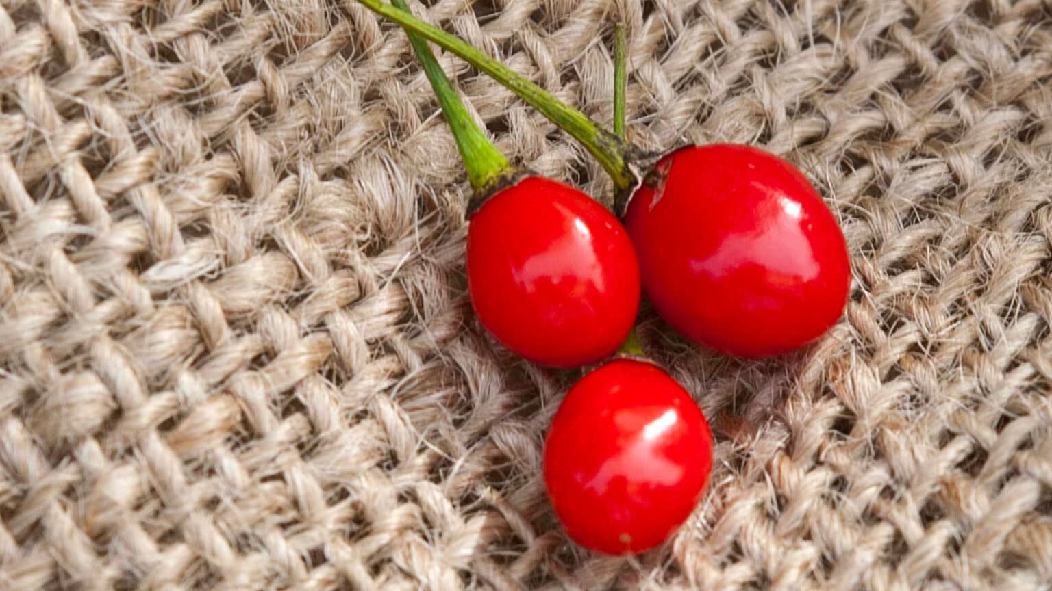 Chile Chiltepín - Escala Scoville