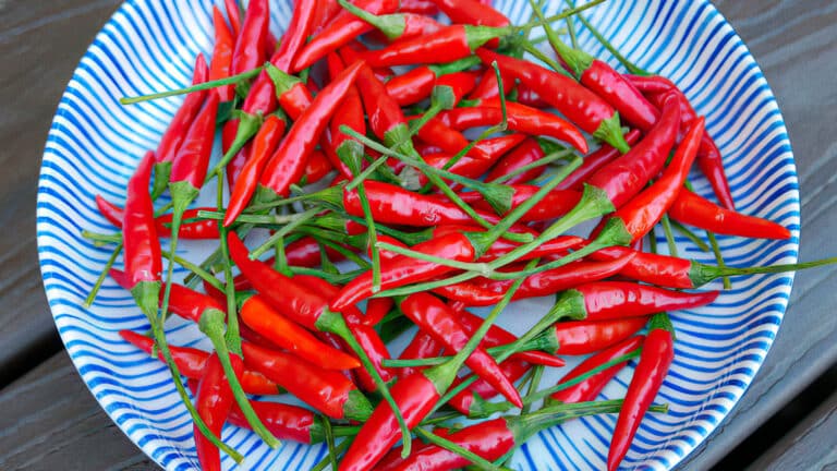 Chile Thai - Escala Scoville